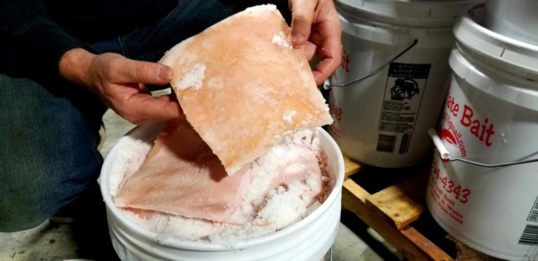 Pig Hide Bait - NEMI